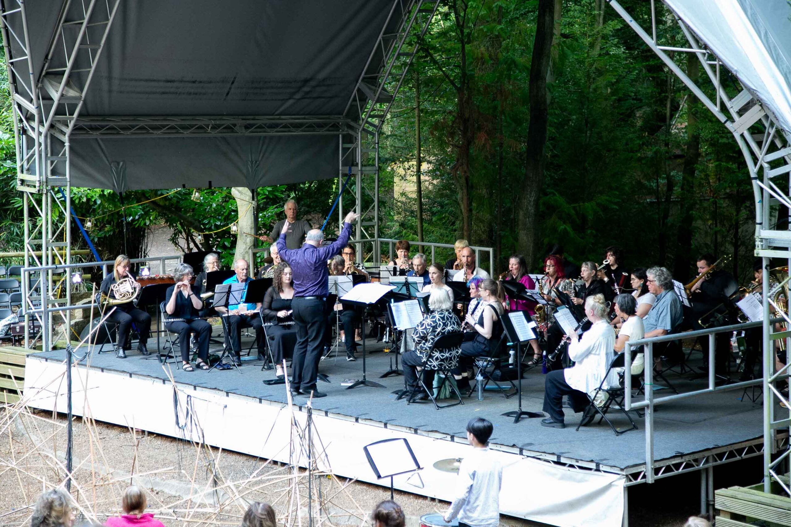 Summer School Wind Band - The Music Summer School and Festival